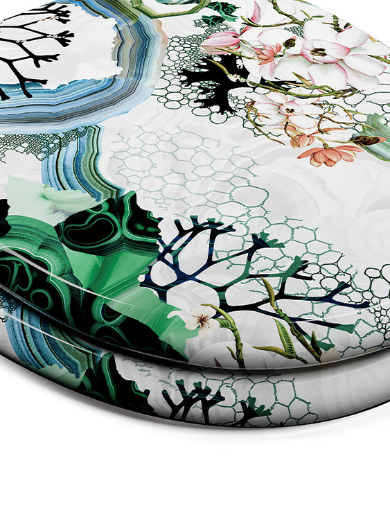 Toilet Seat Algae Bloom
